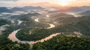 Barrage Fomi Guinée hydroélectrique : Un Projet Historique - TopAfrica